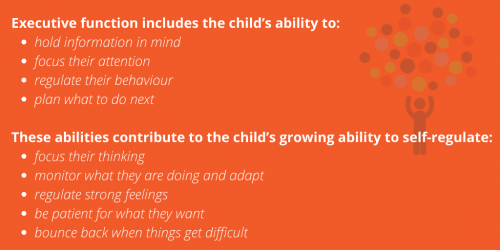 Self-regulation in the revised EYFS framework – Kinderly