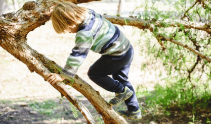 Top tips for risky play in early years – Kinderly